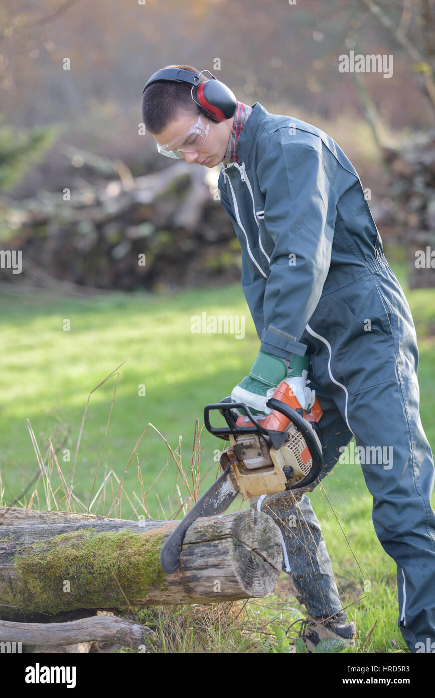 man cutting a timber using a chainsaw Stock Photo - Alamy