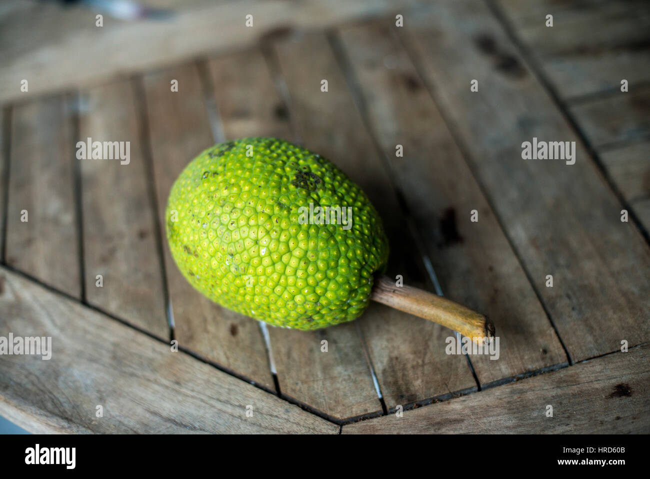 Closeuop hi-res stock photography and images - Alamy