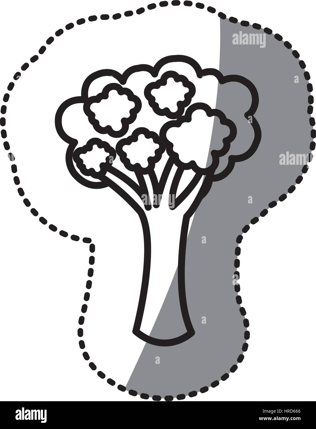 figure vegetable broccoli icon Stock Vector Image & Art - Alamy