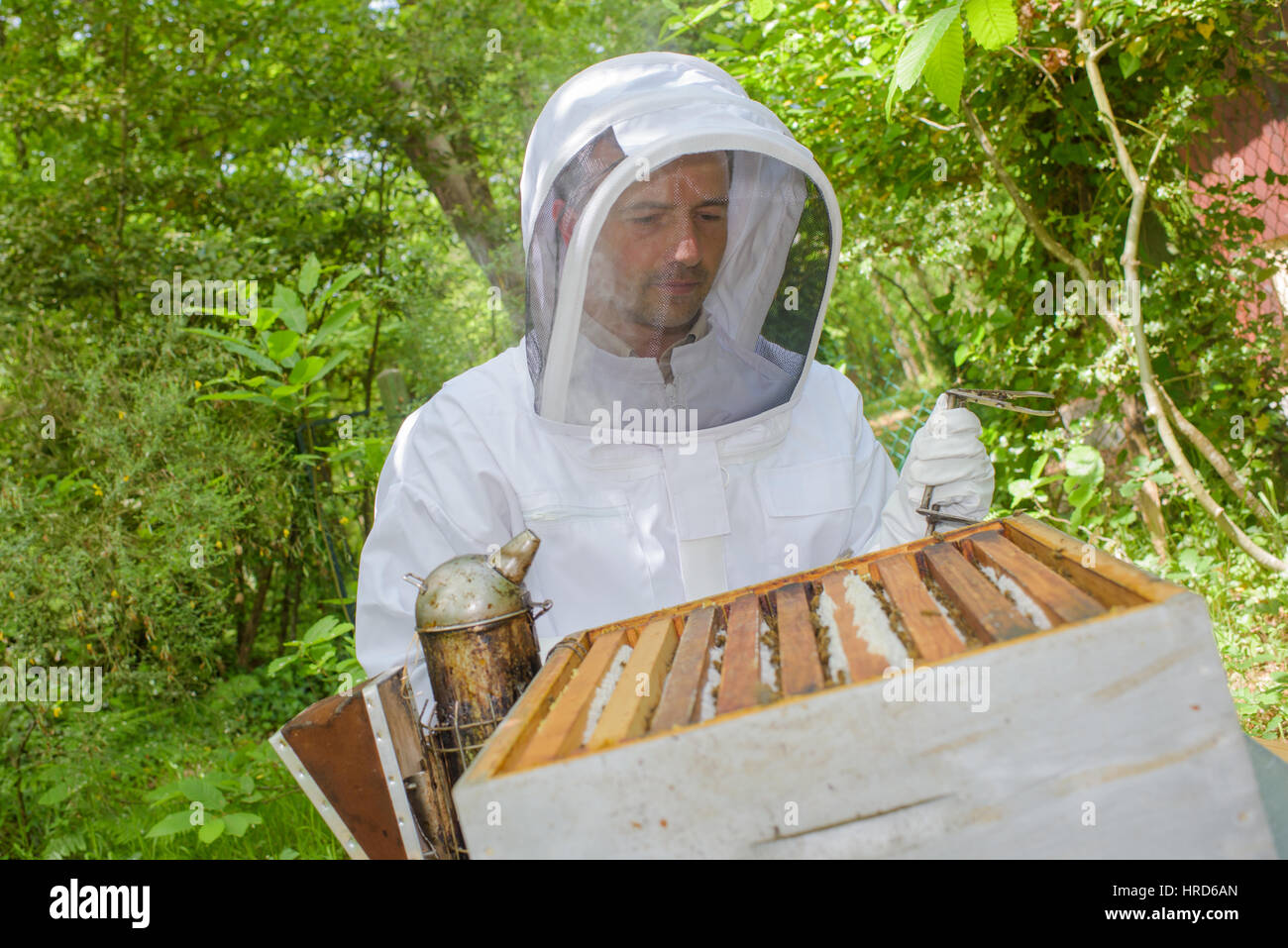 Method of inspection hi-res stock photography and images - Alamy