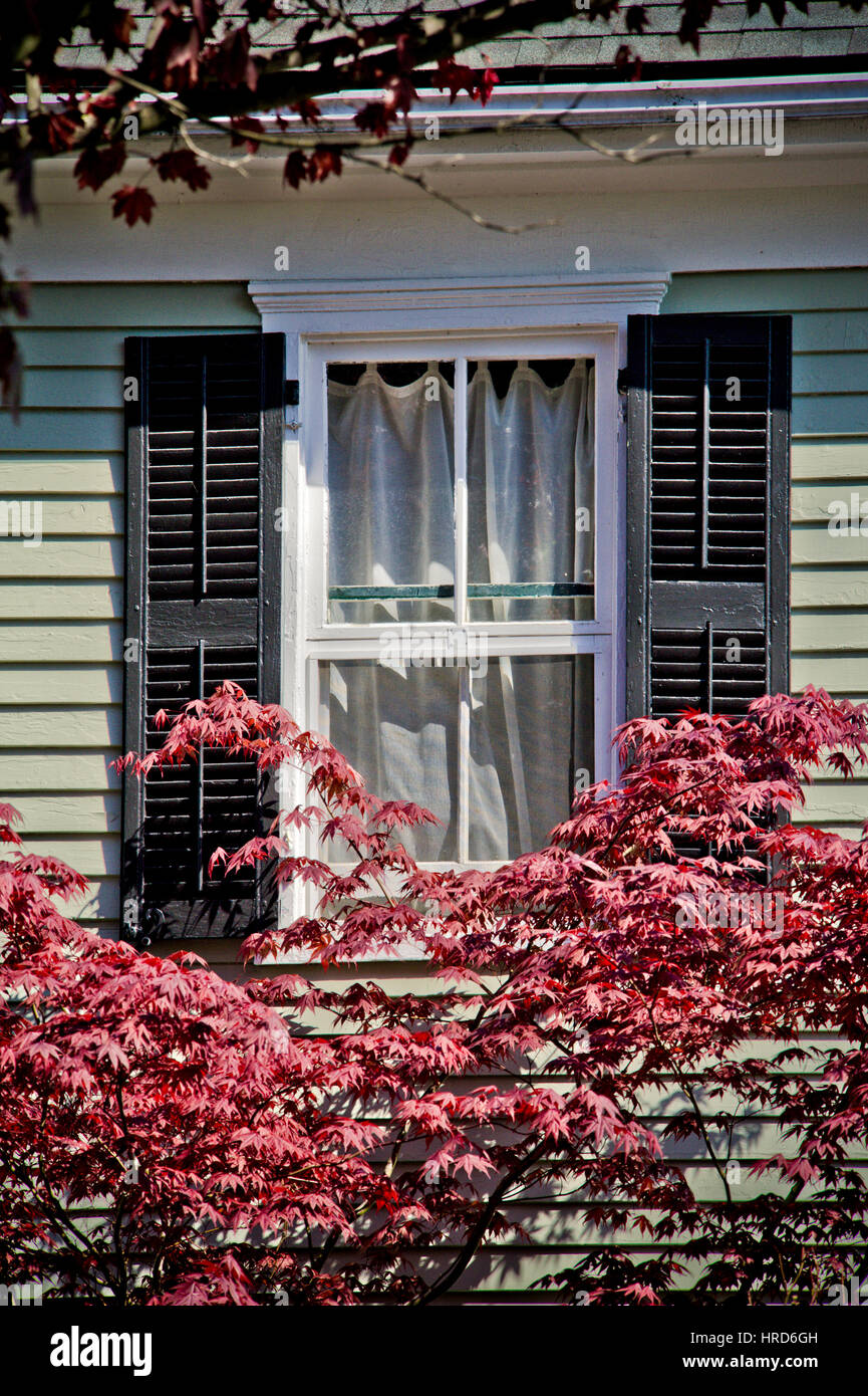 Traditional window with white frame, black shutters Stock Photo - Alamy