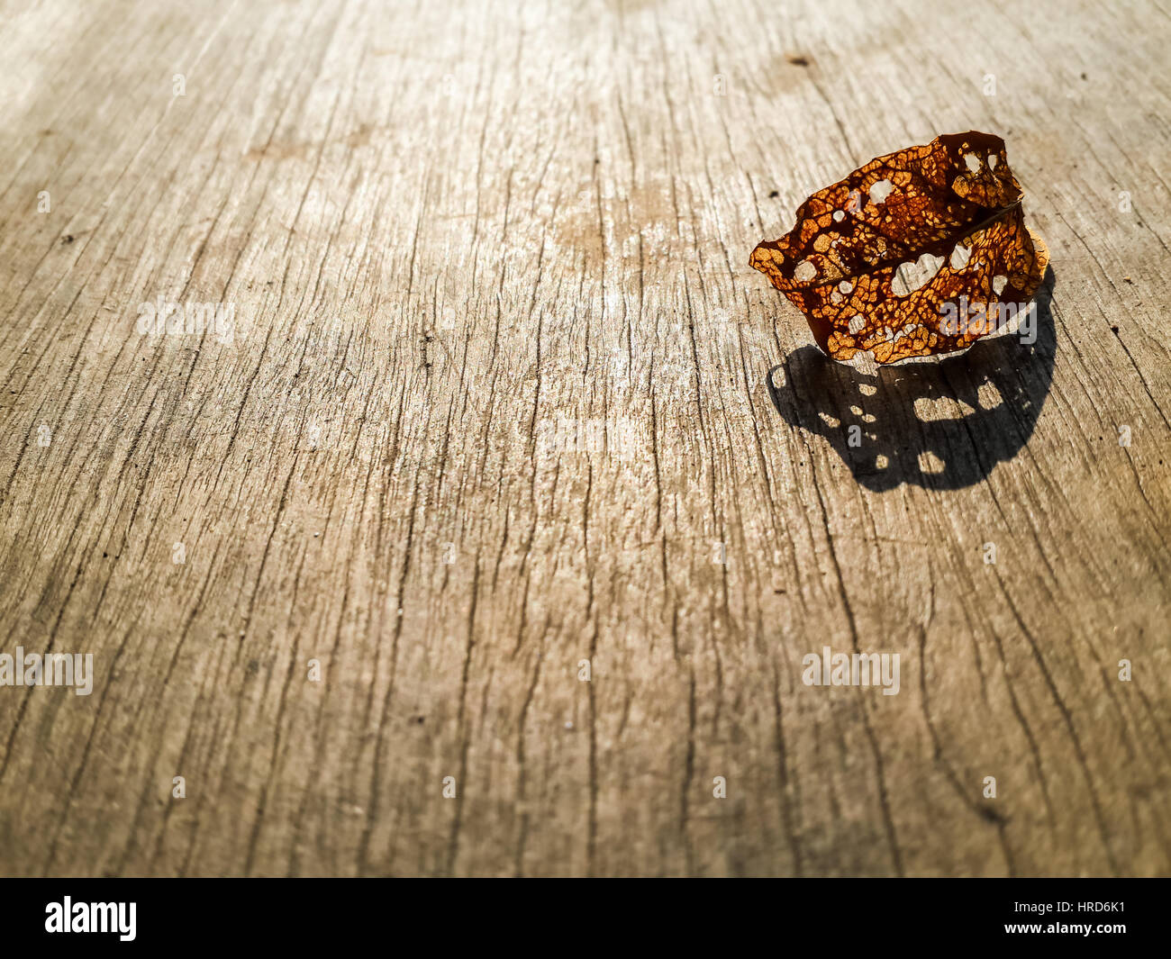 Zen decay hi-res stock photography and images - Alamy