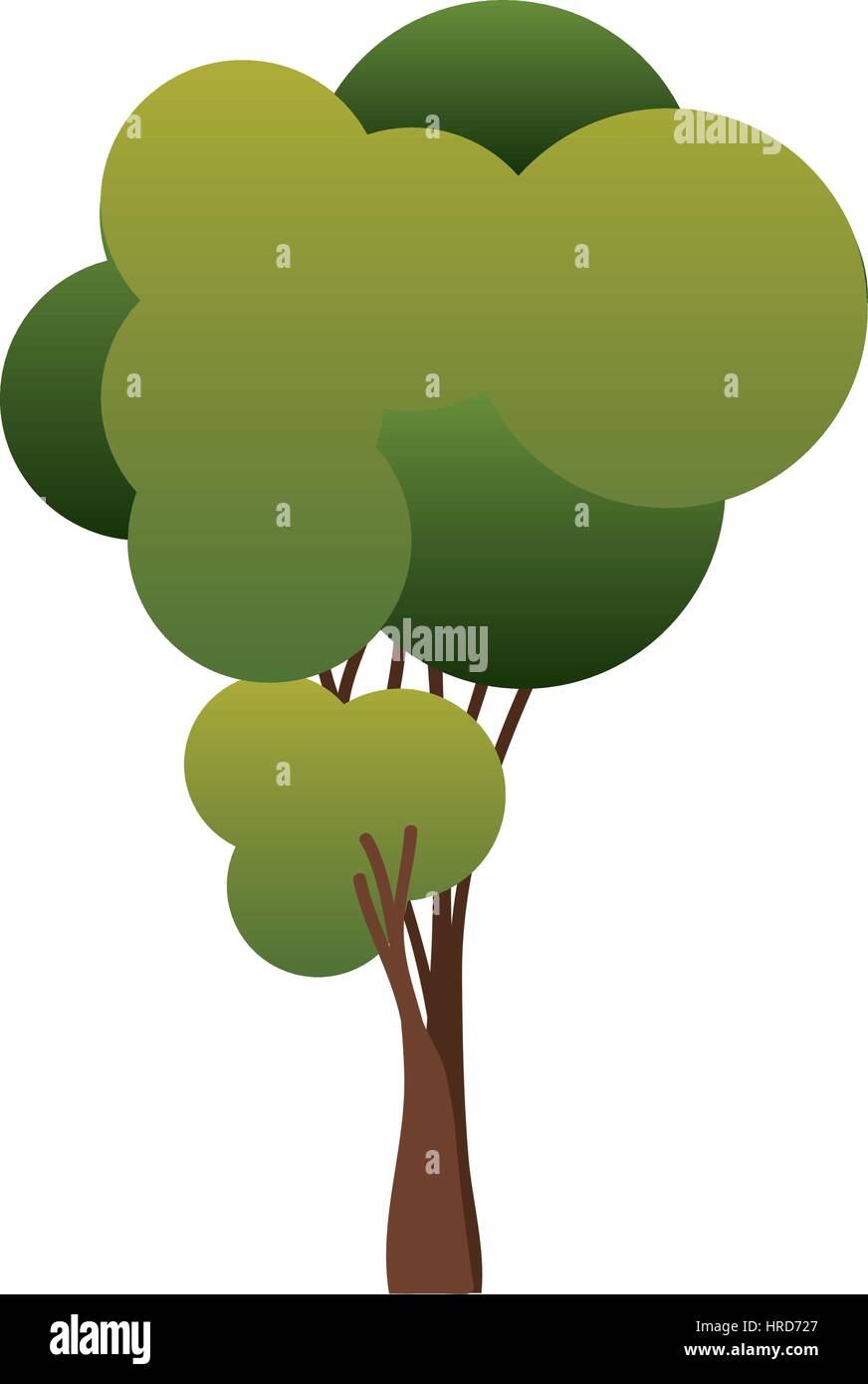 colorful silhouette tree with rounded shape leaves Stock Vector Image ...