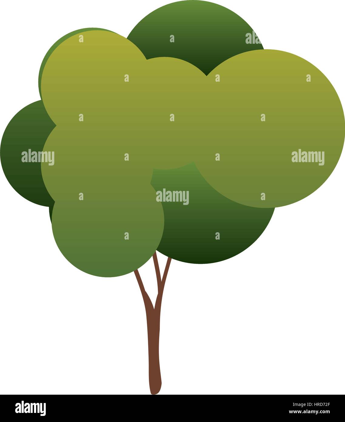 colorful silhouette tree with rounded crown leaves Stock Vector Image ...