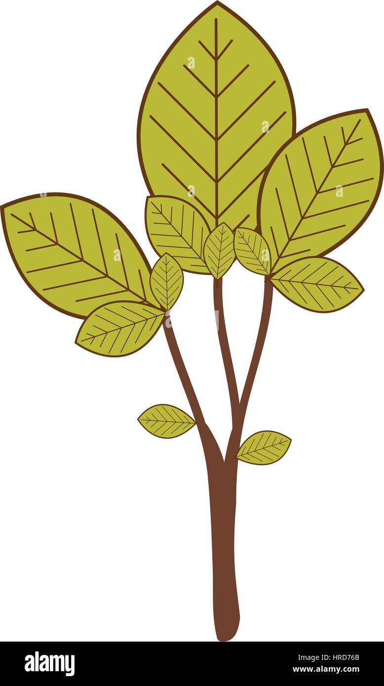 Ramification large Stock Vector Images - Alamy