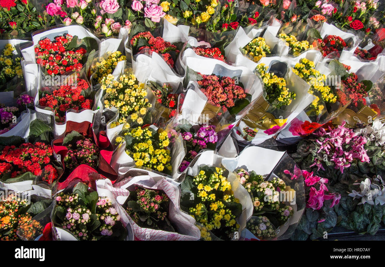 Beautiful fresh flowers as a nature background Stock Photo - Alamy