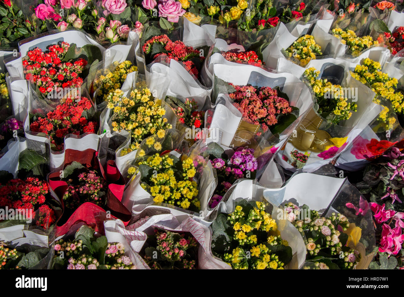 Beautiful fresh flowers as a nature background Stock Photo - Alamy