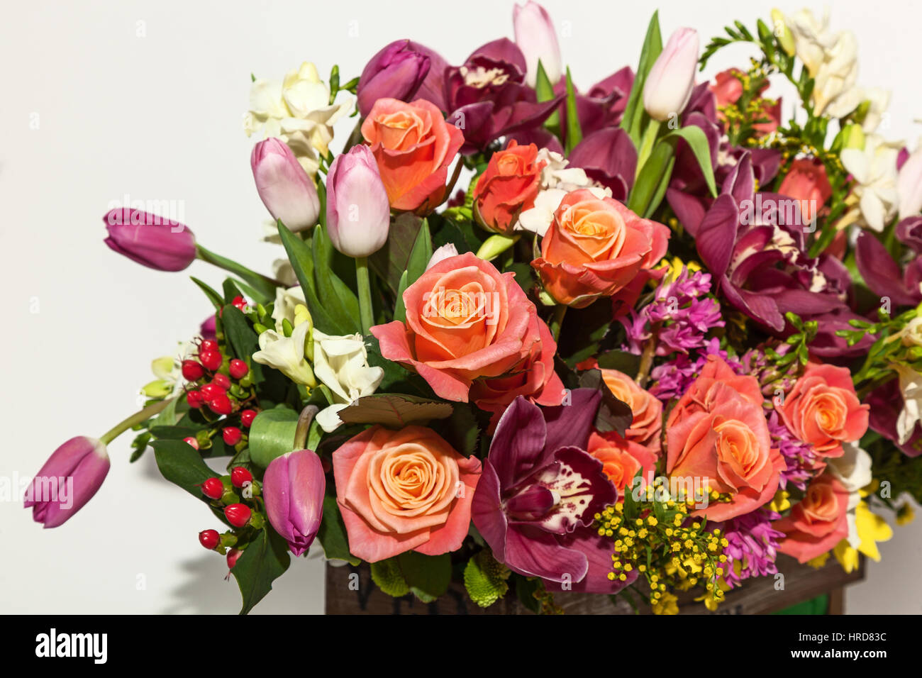 Roses and orchids. Vinous orchids and coral roses in set with different ...