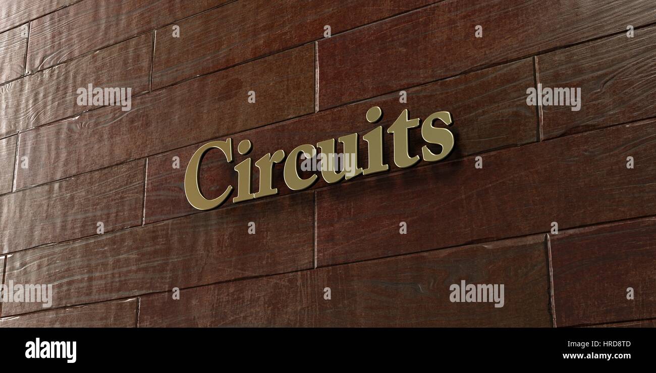 Circuits - Bronze plaque mounted on maple wood wall - 3D rendered ...