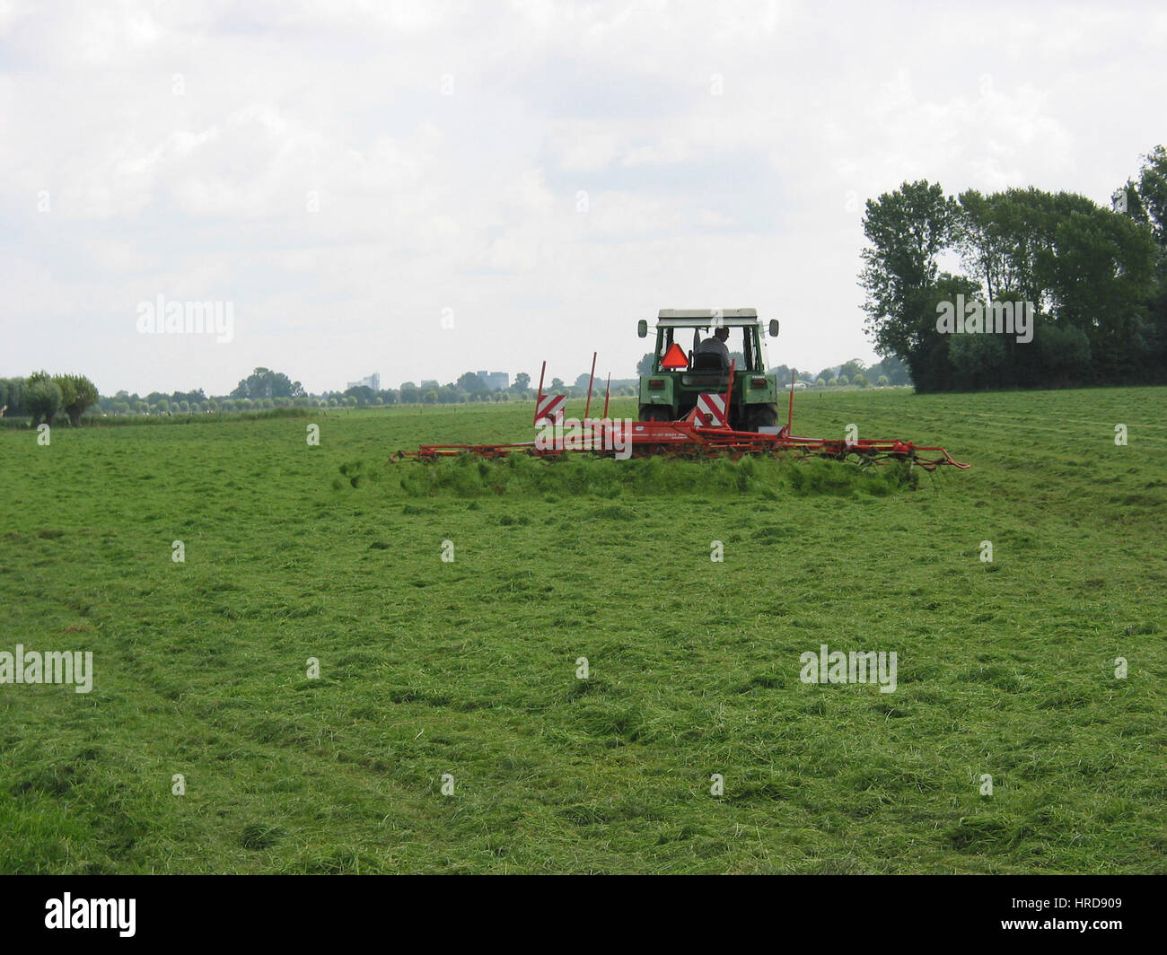 grass (hay) is cut and conserved under plastic Stock Photo - Alamy