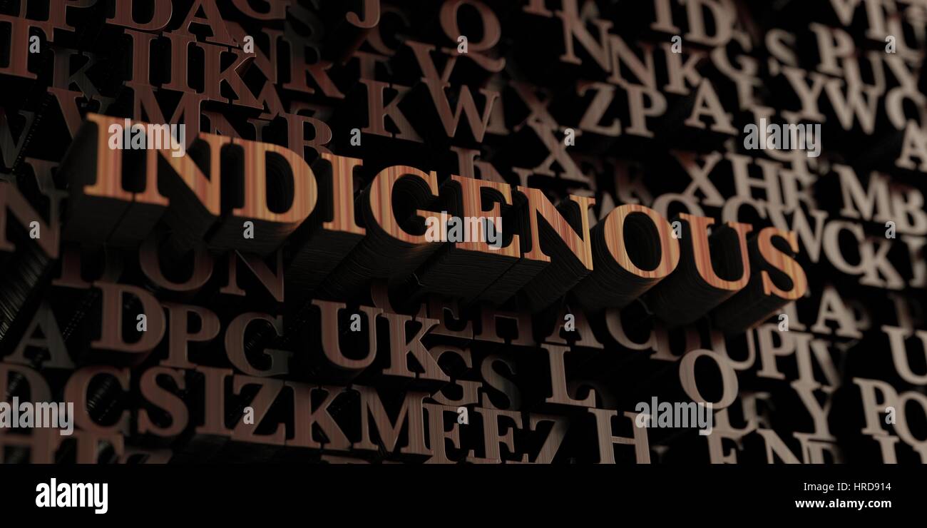 Indigenous - Wooden 3D rendered letters/message. Can be used for an ...