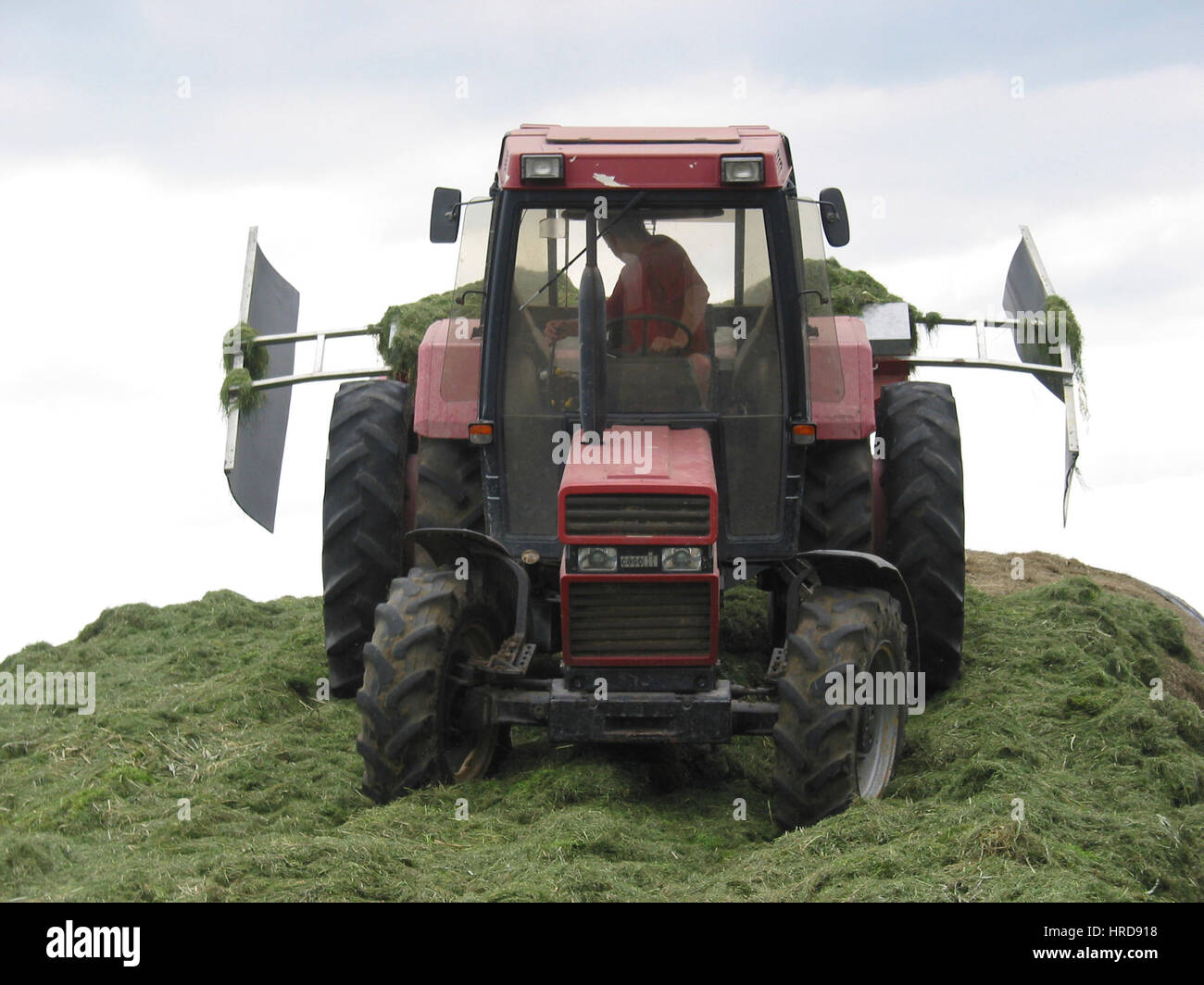 grass (hay) is cut and conserved under plastic Stock Photo - Alamy