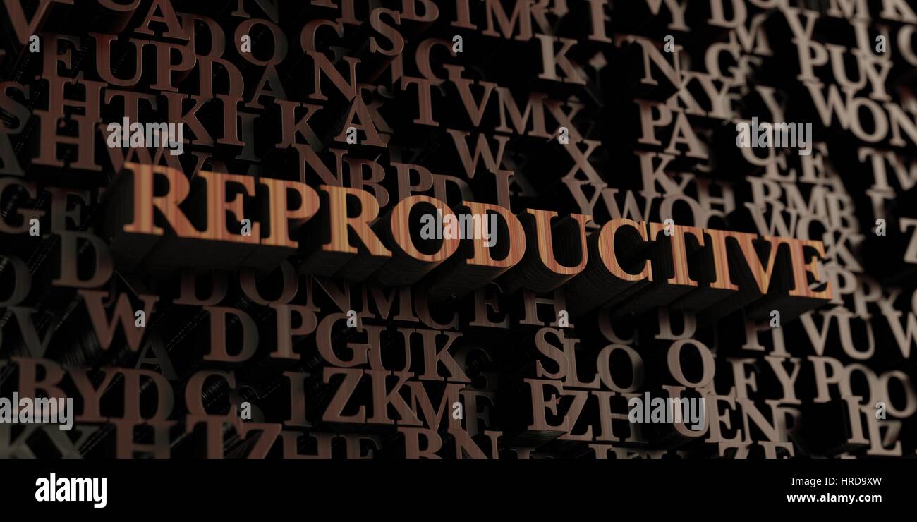 Reproductive - Wooden 3D rendered letters/message. Can be used for an ...