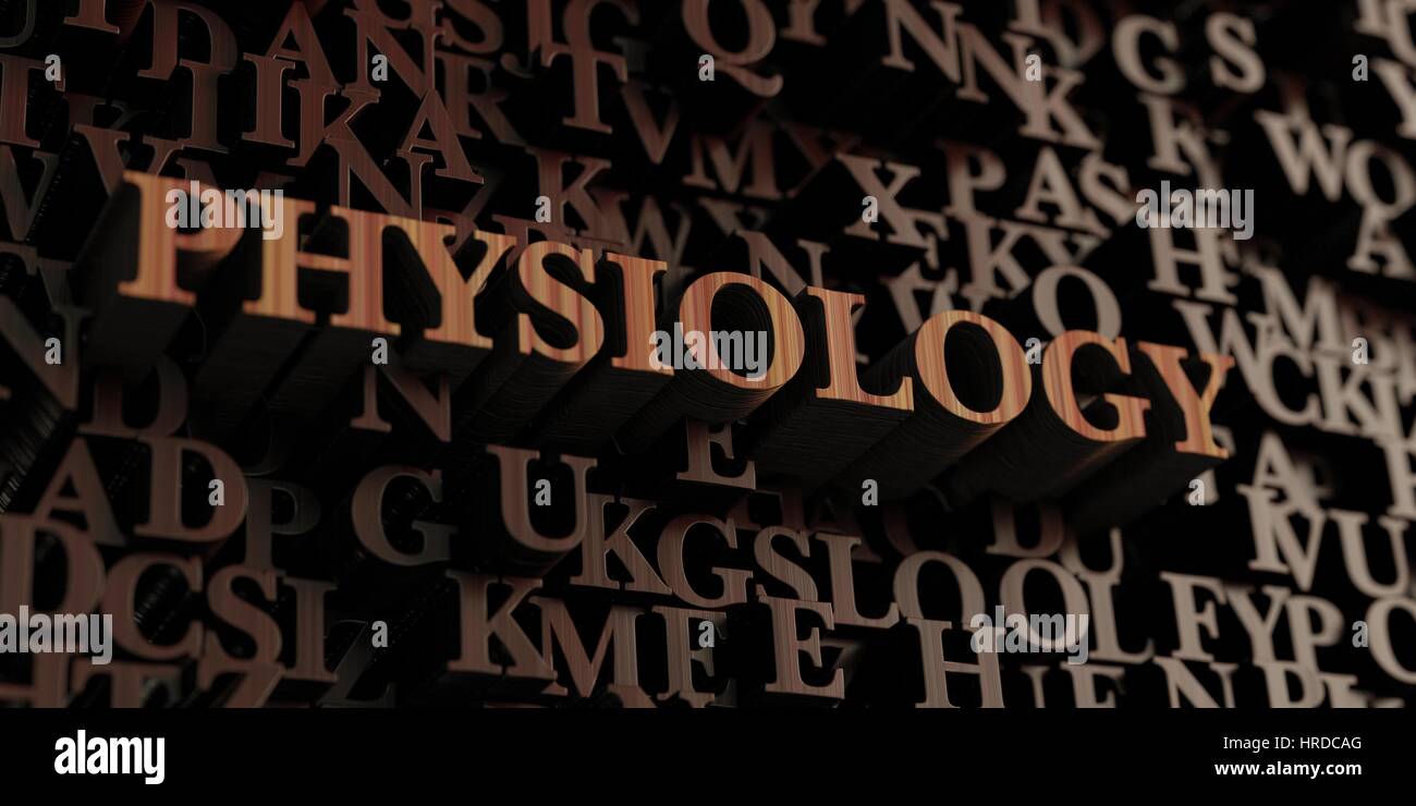 Physiology - Wooden 3D rendered letters/message. Can be used for an ...