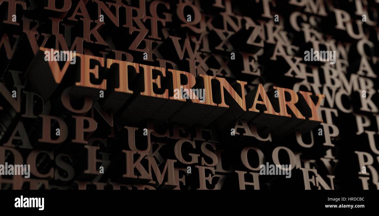 Antique veterinary sign hi-res stock photography and images - Alamy