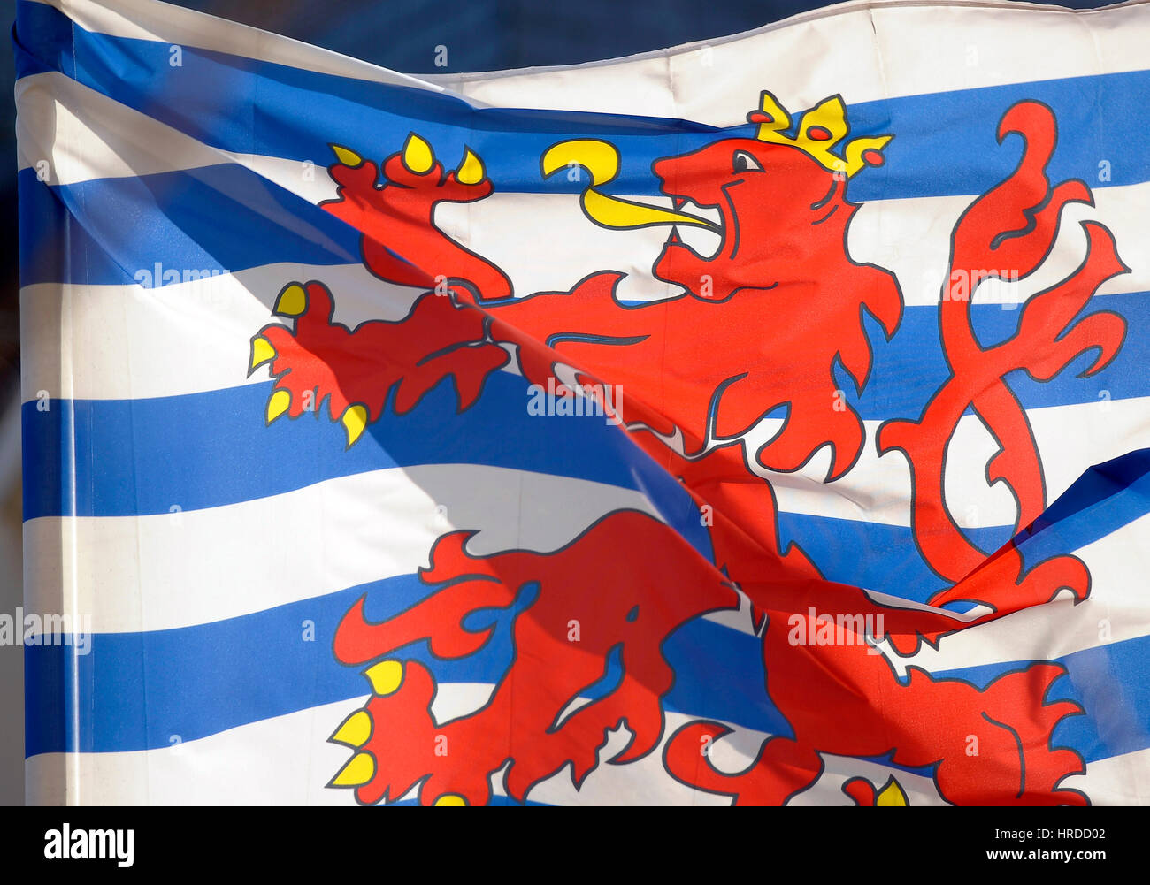 Flag of the wallonie hi-res stock photography and images - Alamy