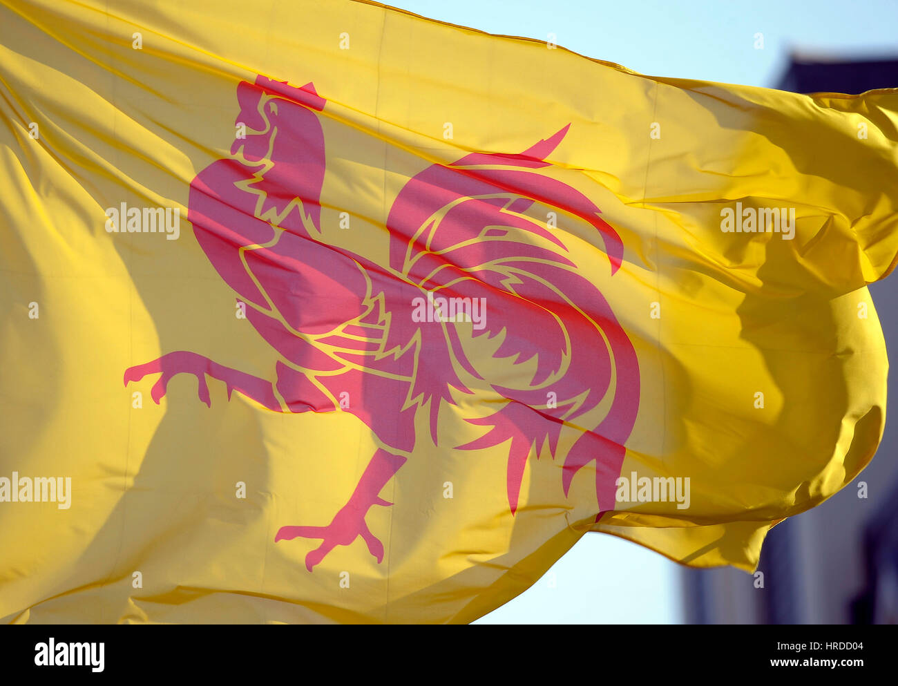 Walloon flag hi-res stock photography and images - Alamy