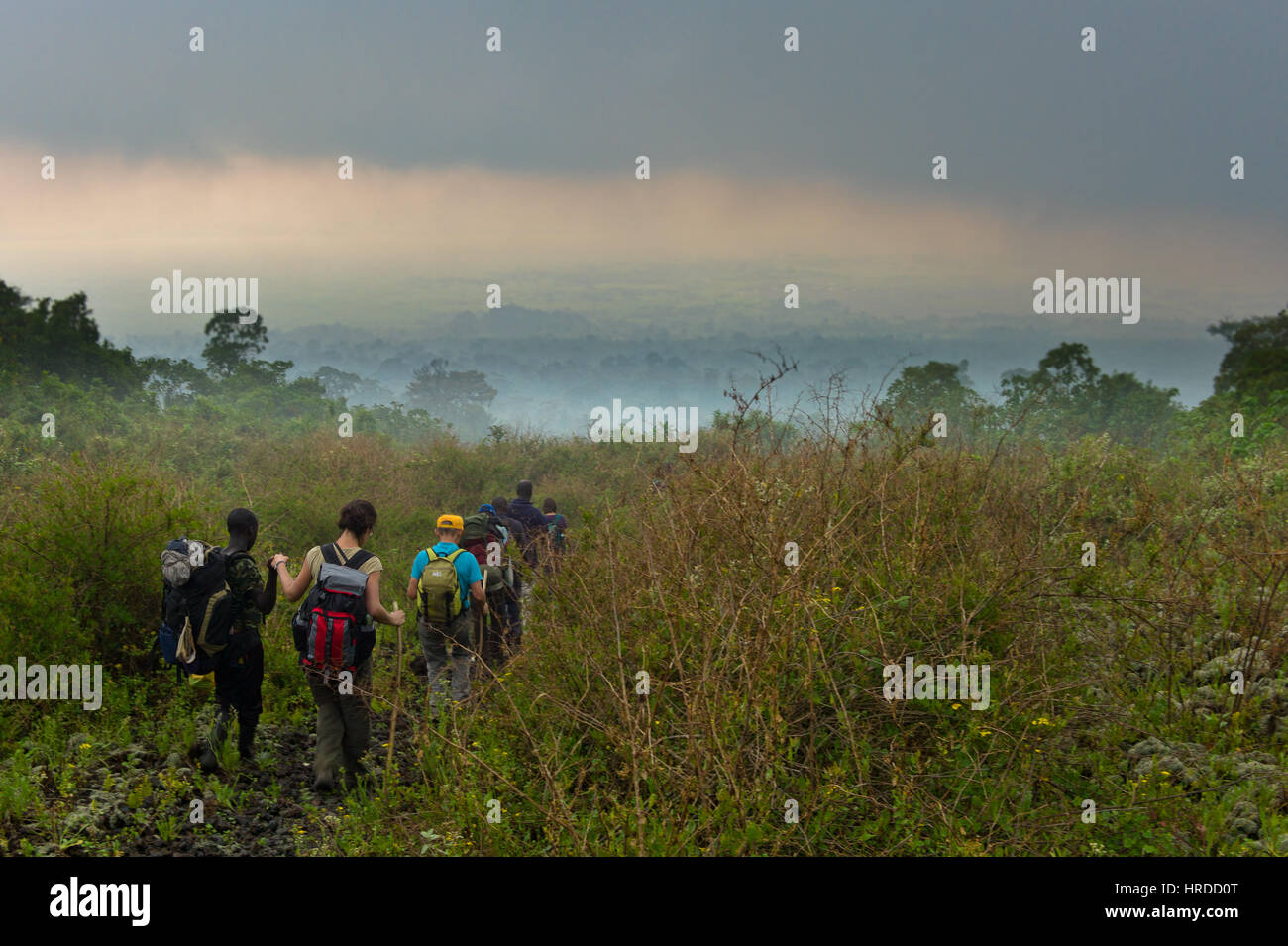 Climbing Mount Nyiragongo in Virunga National Park, Democratic Republic ...