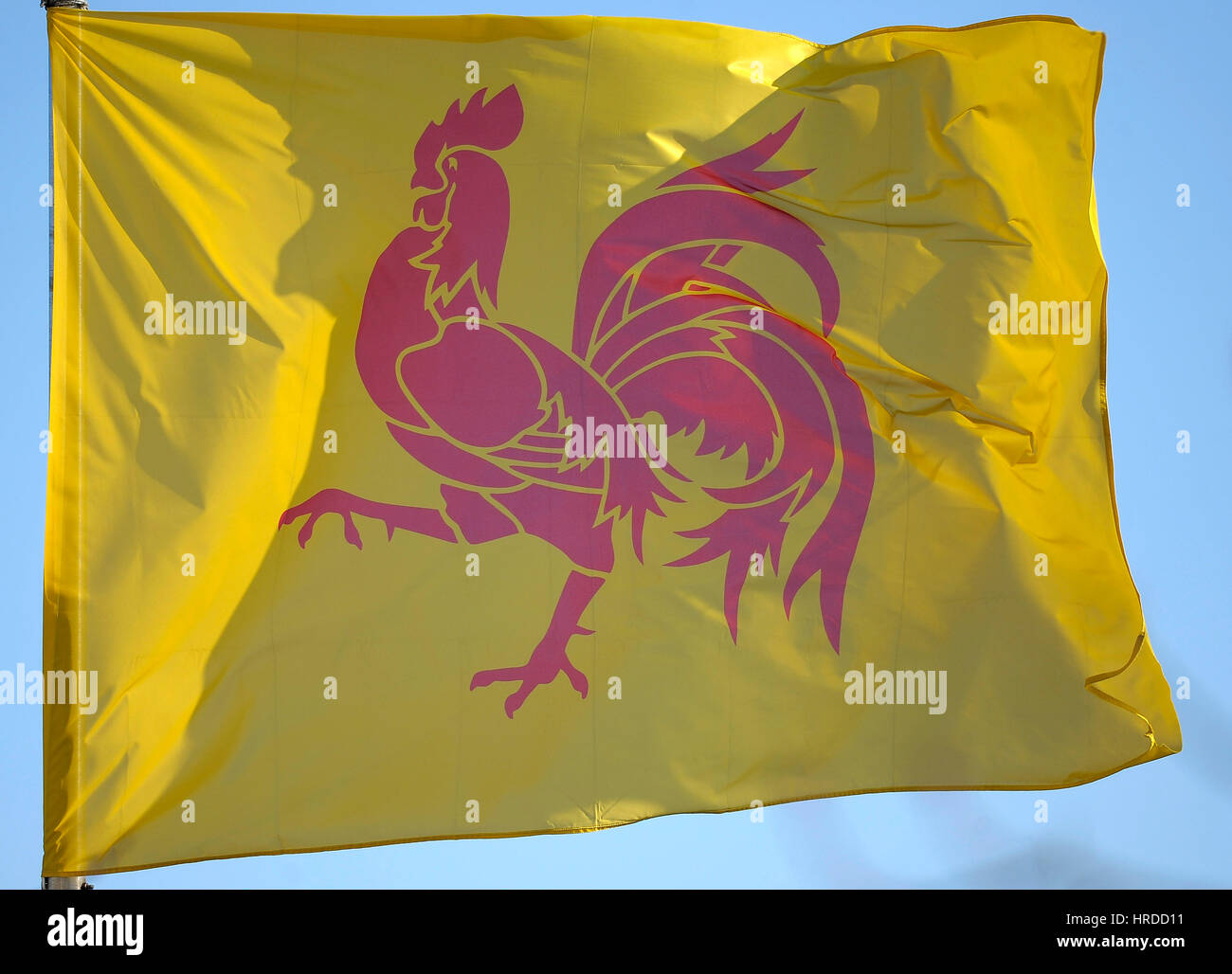 20110301 ARLON, BELGIUM . a Walloon flag is pictured in front of Arlon ...