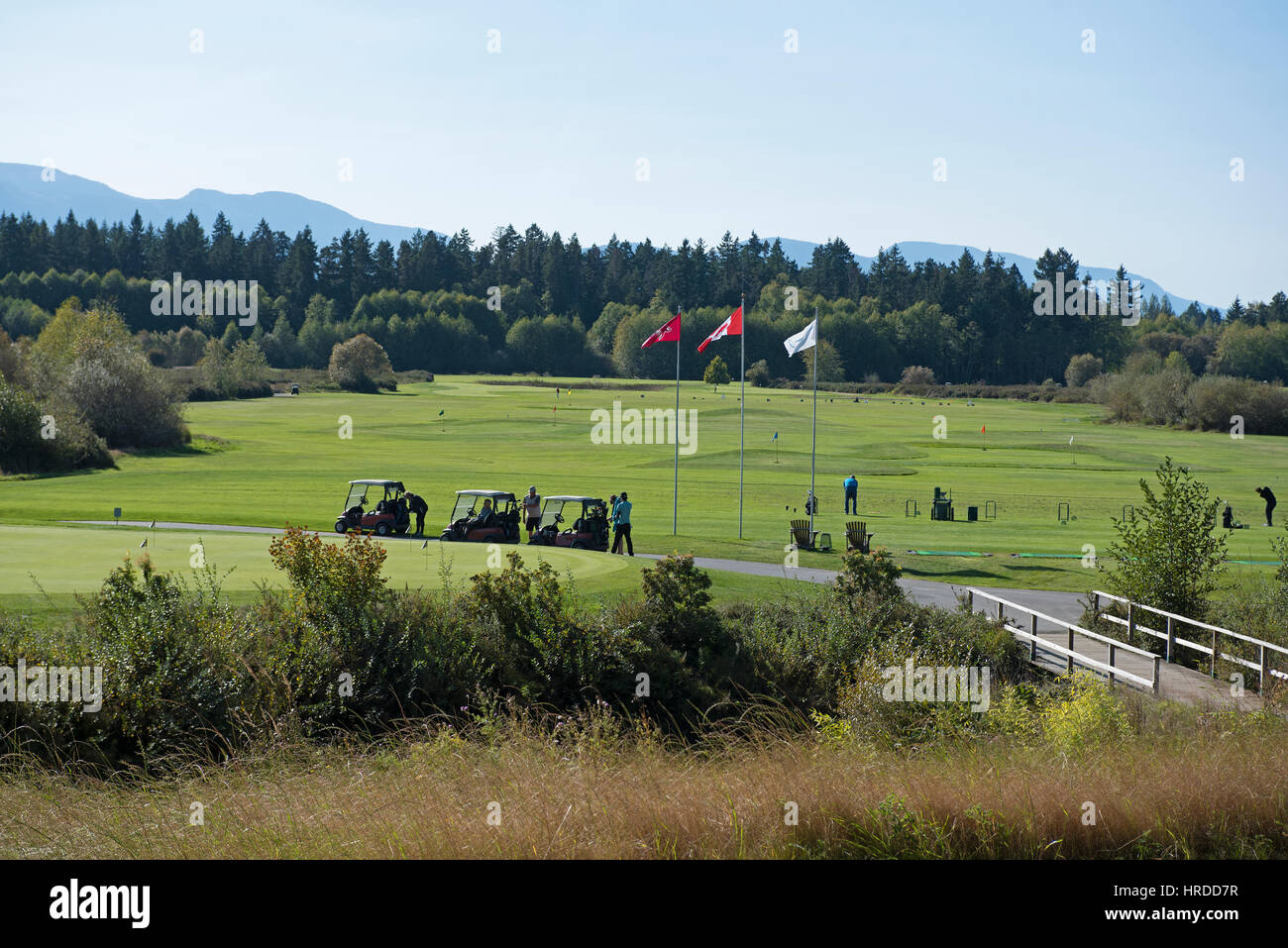 Pheasant island hi-res stock photography and images - Alamy