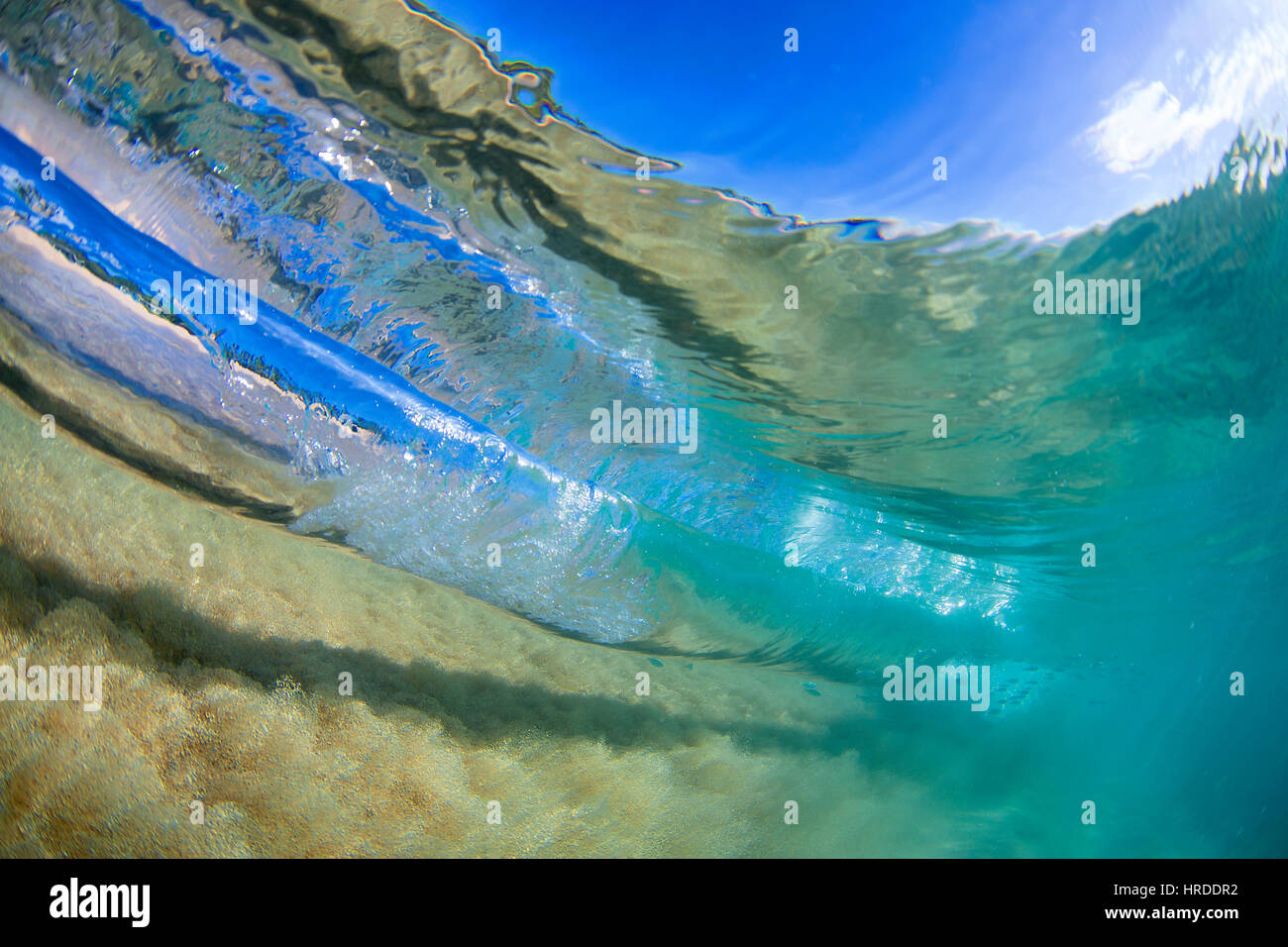 Pristine ocean underwater hi-res stock photography and images - Alamy