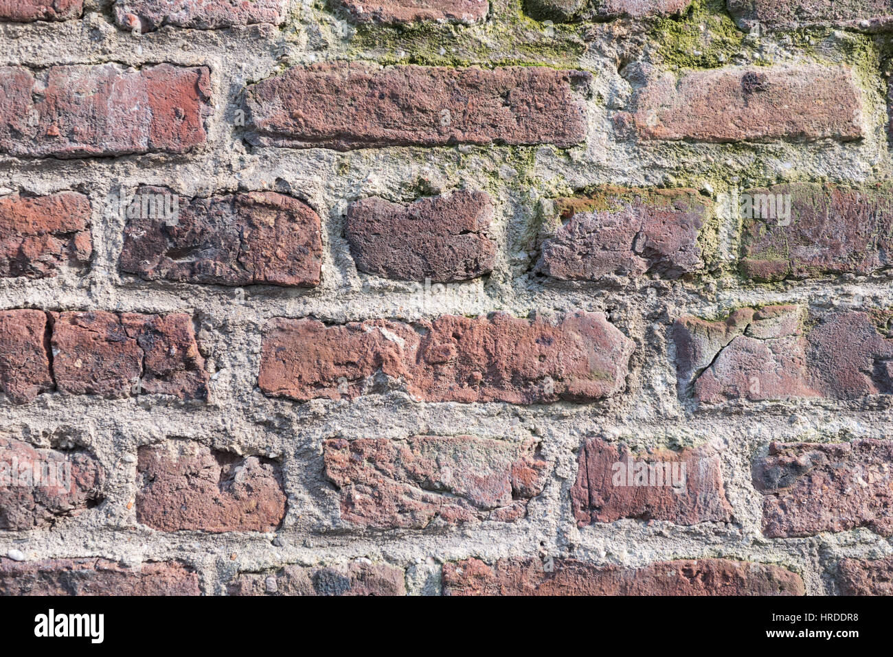 Details of a historic brick wall with moss and limescales - perfect for ...