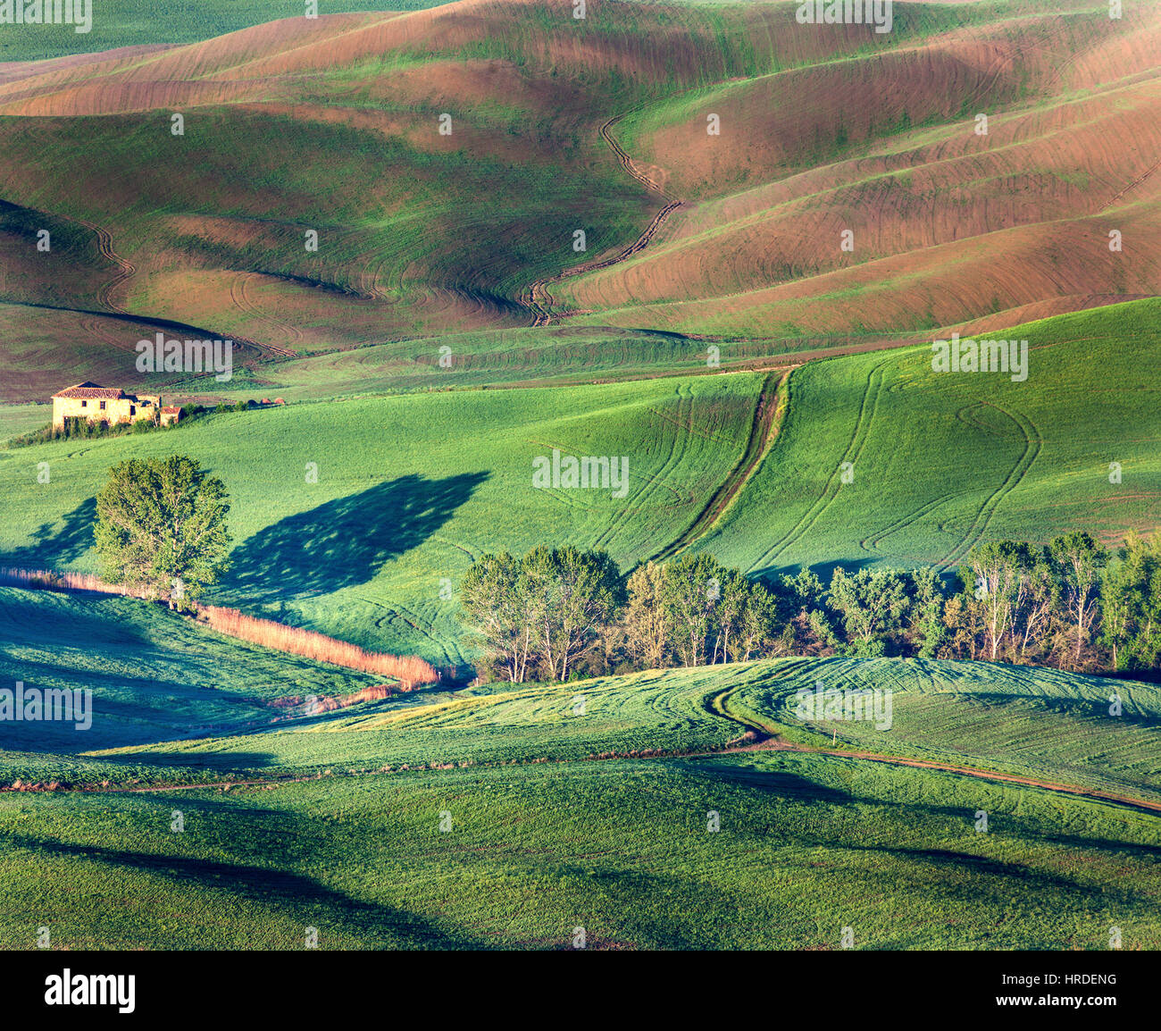 Tuscany landscape during spring. Tuscany, Italy Stock Photo - Alamy