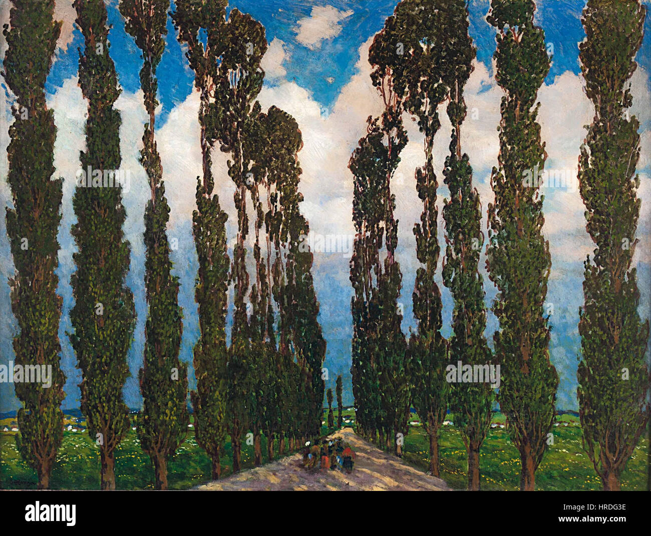 Jan Honsa Topolova Alej Stock Photo - Alamy