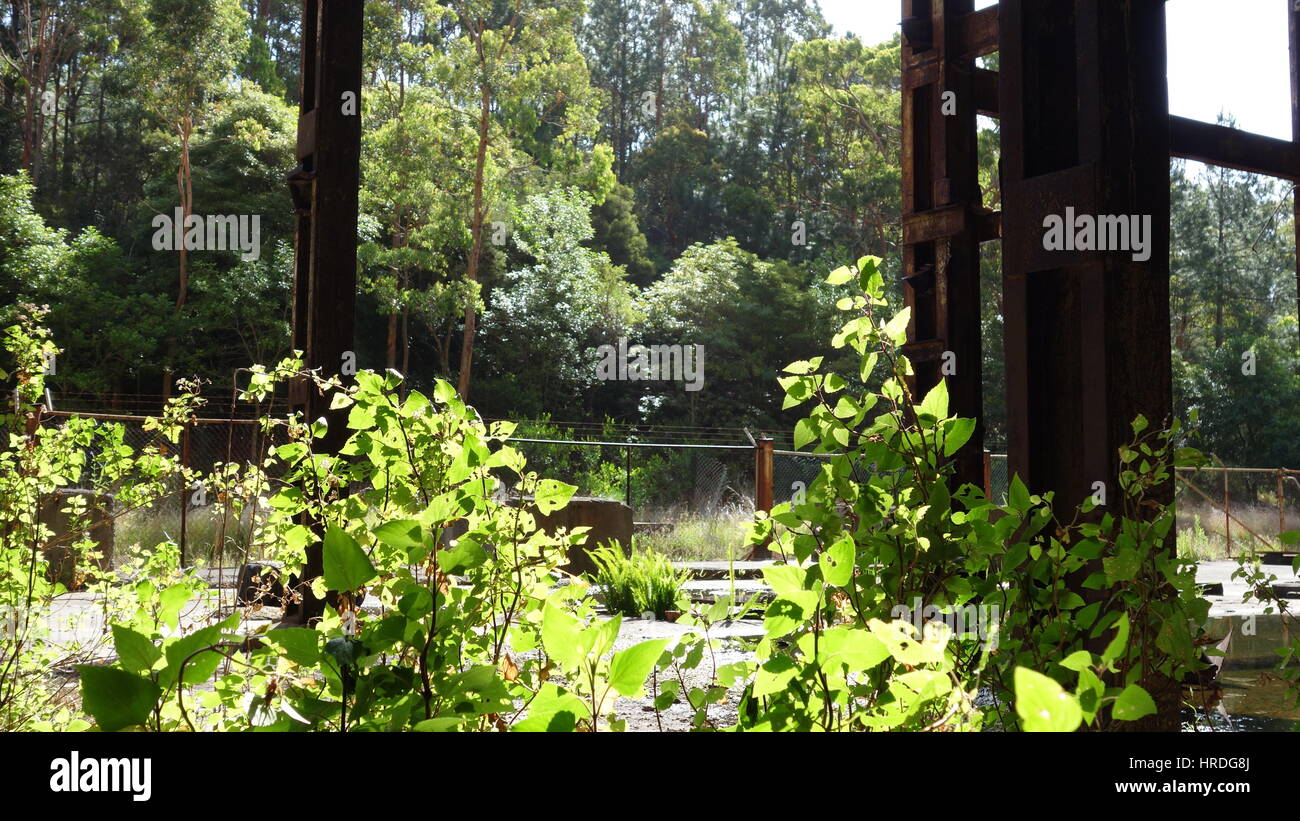 Zombie setting hi-res stock photography and images - Alamy