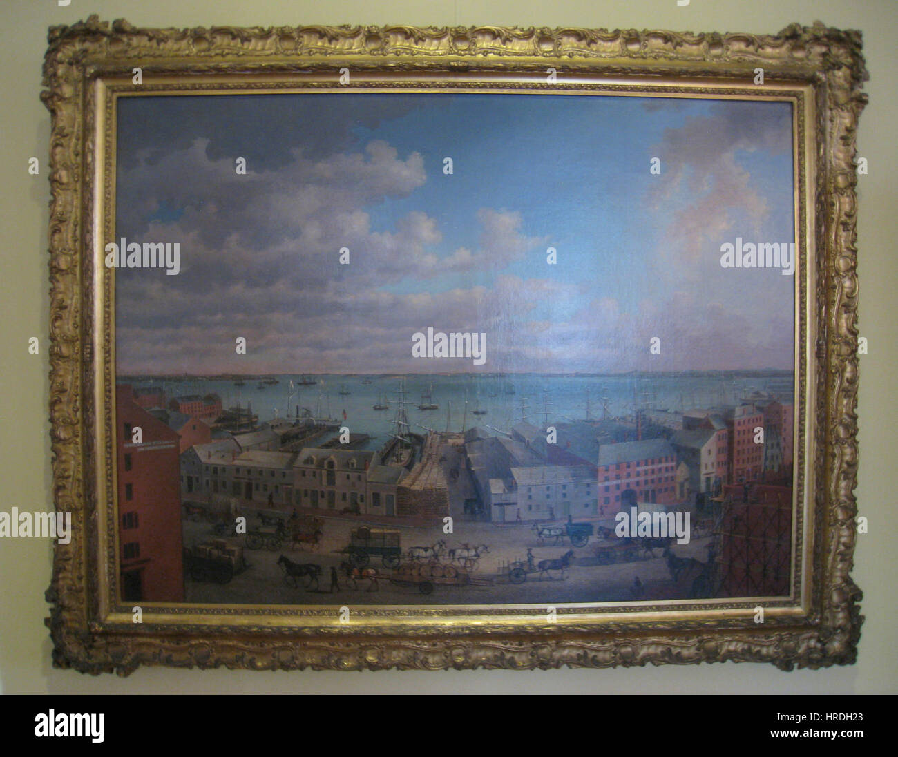 Boston scott hi-res stock photography and images - Alamy