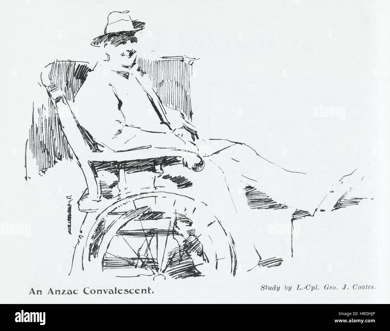 Drawing of 'An Anzac Convalescent' Wellcome L0046112 Stock Photo - Alamy
