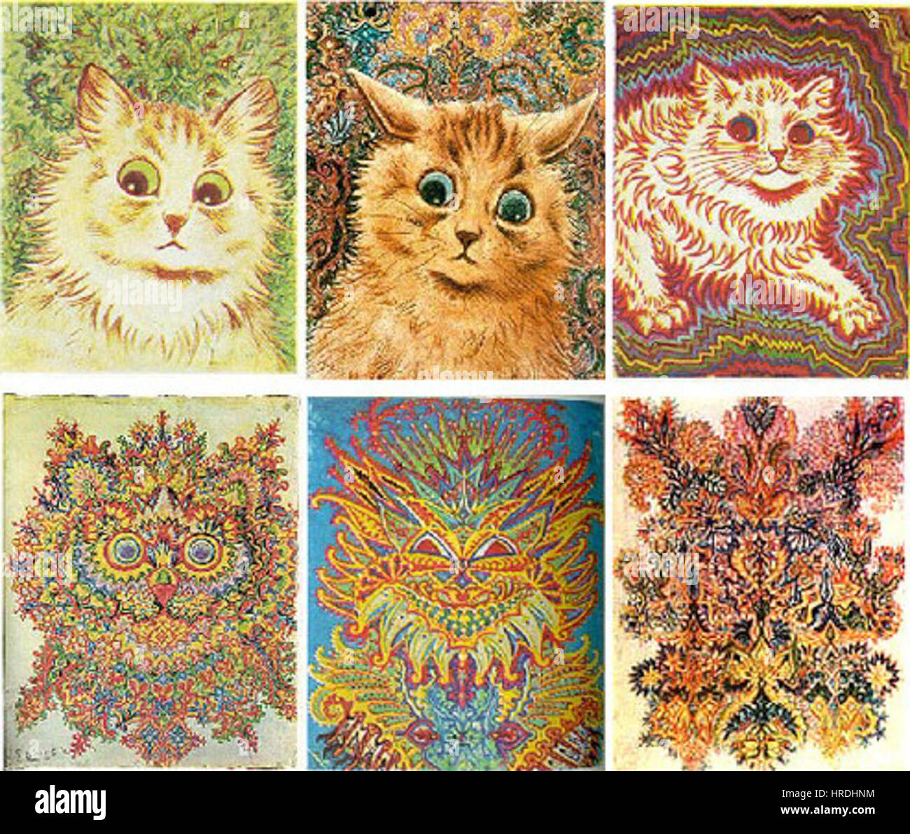 Wain cats 6 Stock Photo - Alamy