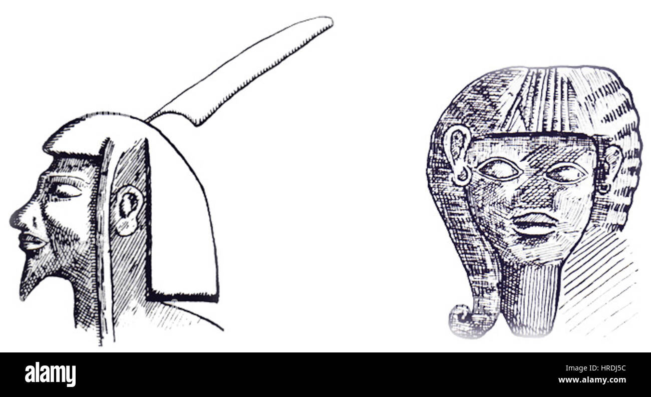 An artistic representation highlighting the distinctive features of the ...