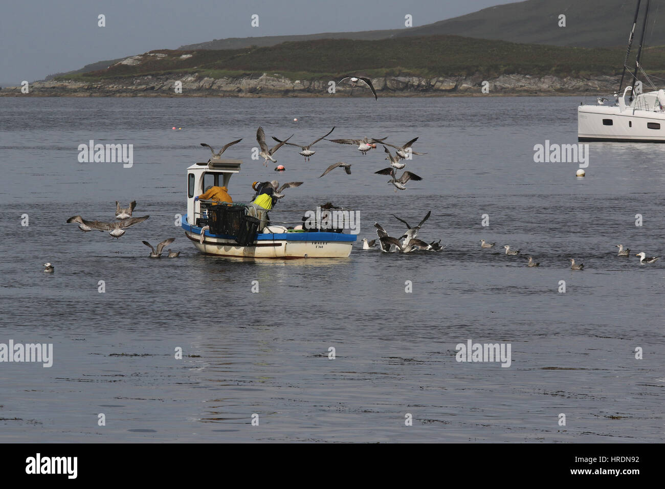 Lobster boat fishing off Valentia Island, County Kerry, Ireland Stock ...