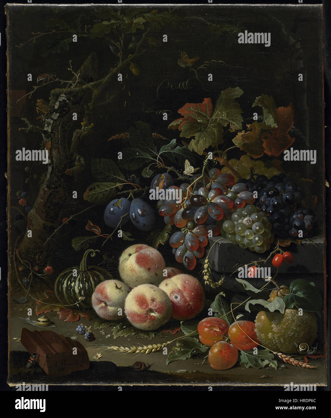 Abraham Mignon - Still Life with Fruits, Foliage and Insects - 87.4 ...