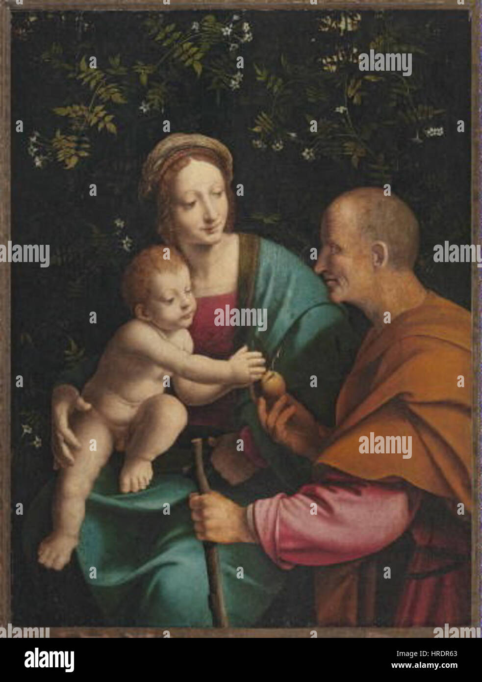 Francesco melzi hi-res stock photography and images - Alamy