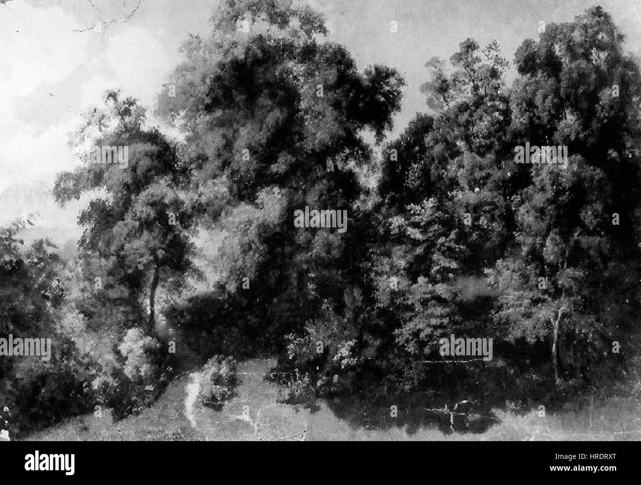 Emil Lauffer 28. 6. 1837-31. 5. 1909 - Studie stromu Stock Photo - Alamy