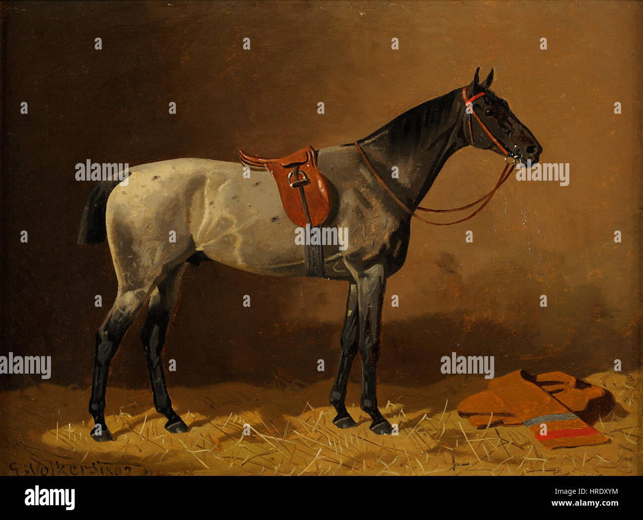 Emil Volkers Pferdeportrait 1892 Stock Photo - Alamy