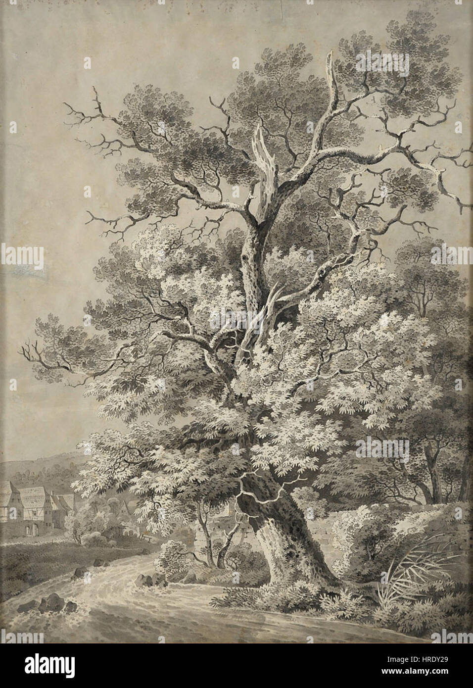 Artist adrian zingg hi-res stock photography and images - Alamy