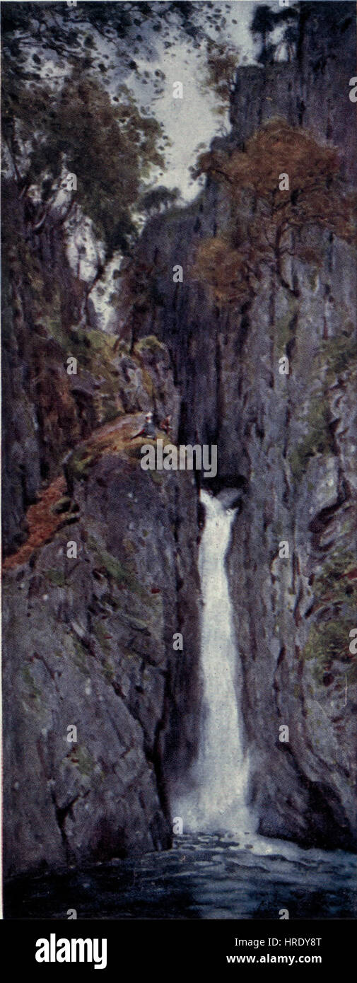 Dalegarth Force, Eskdale - The English Lakes - A. Heaton Cooper Stock ...