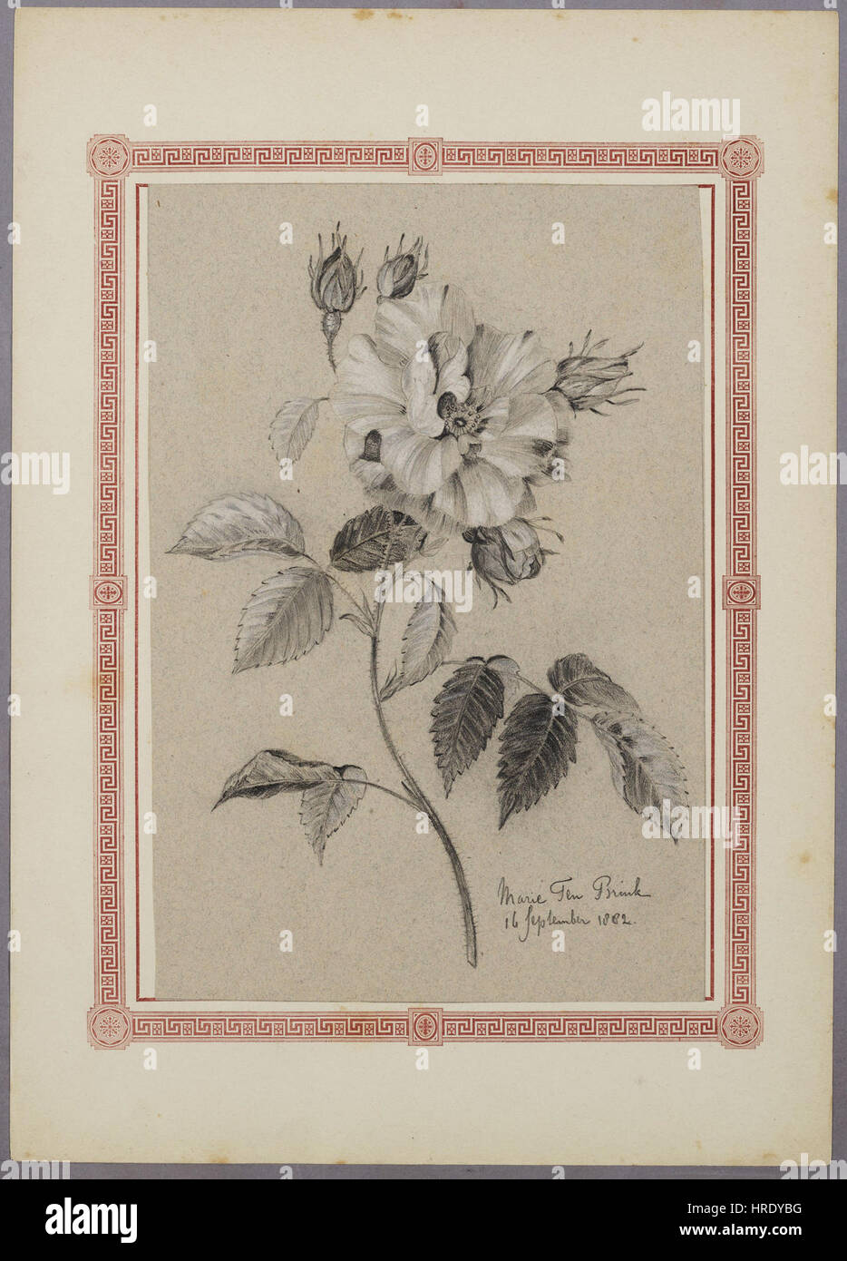 Album amicorum hi-res stock photography and images - Alamy