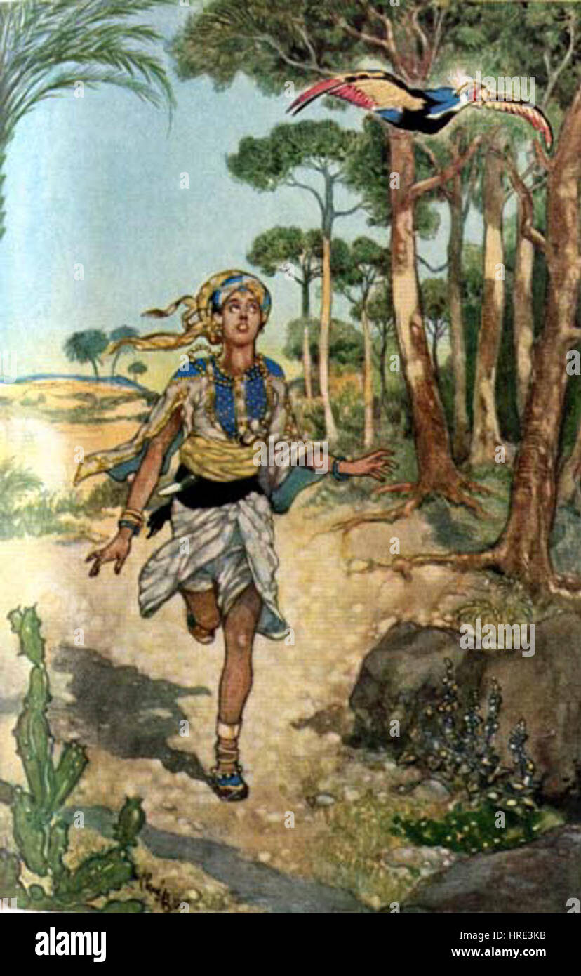 Bird from arabian nights Stock Photo - Alamy