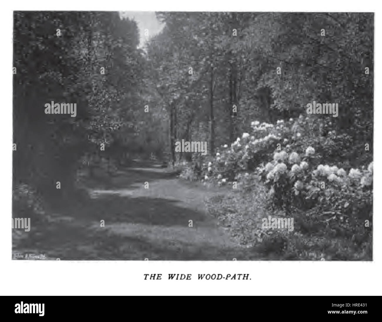 Floral display in garden Cut Out Stock Images & Pictures - Alamy