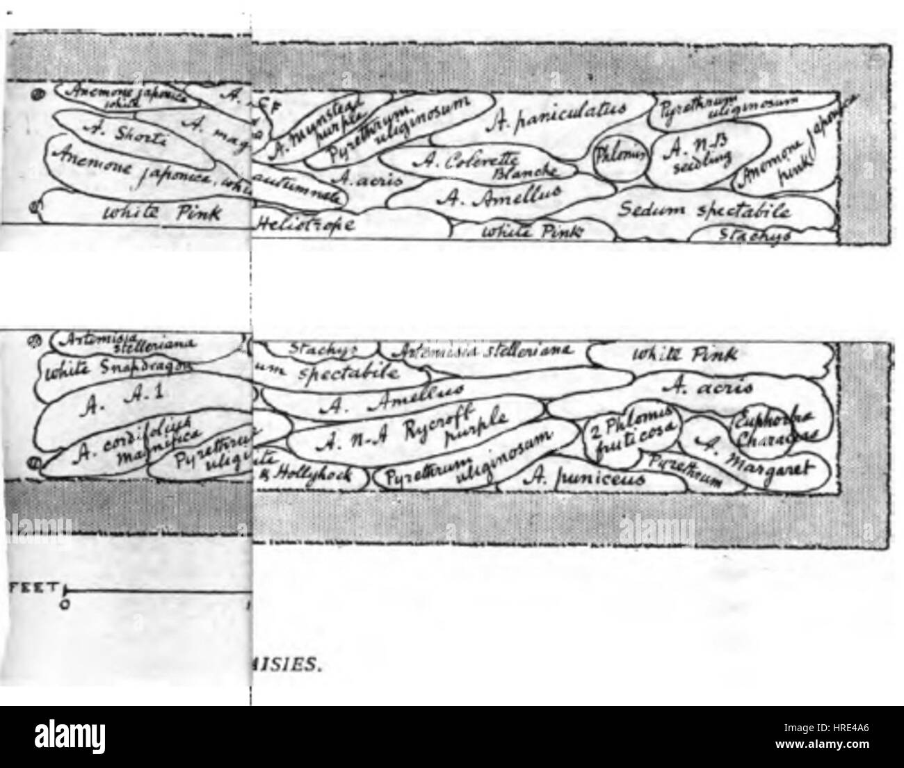 Season palette Black and White Stock Photos & Images - Alamy