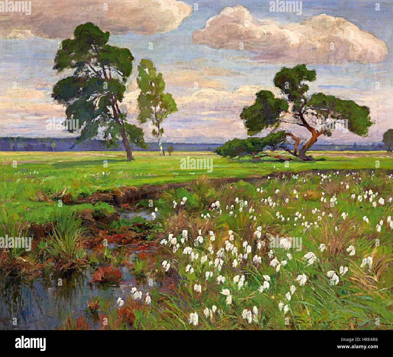 Franz Schreyer - Sommertag in Moorbruch Stock Photo - Alamy