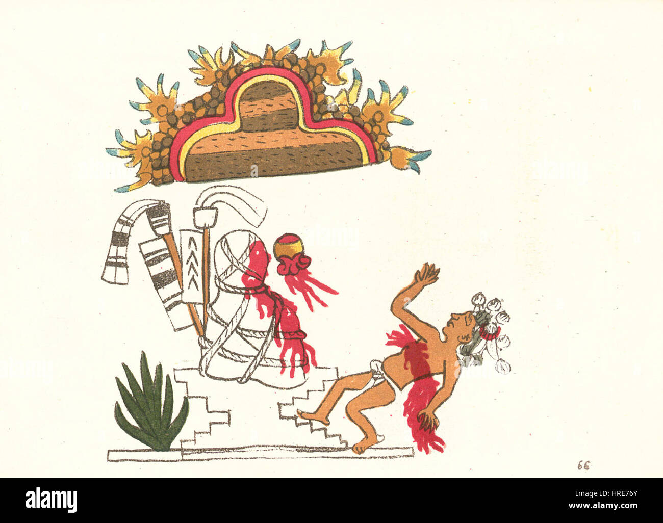 Codex Magliabechiano (folio 66r Stock Photo - Alamy