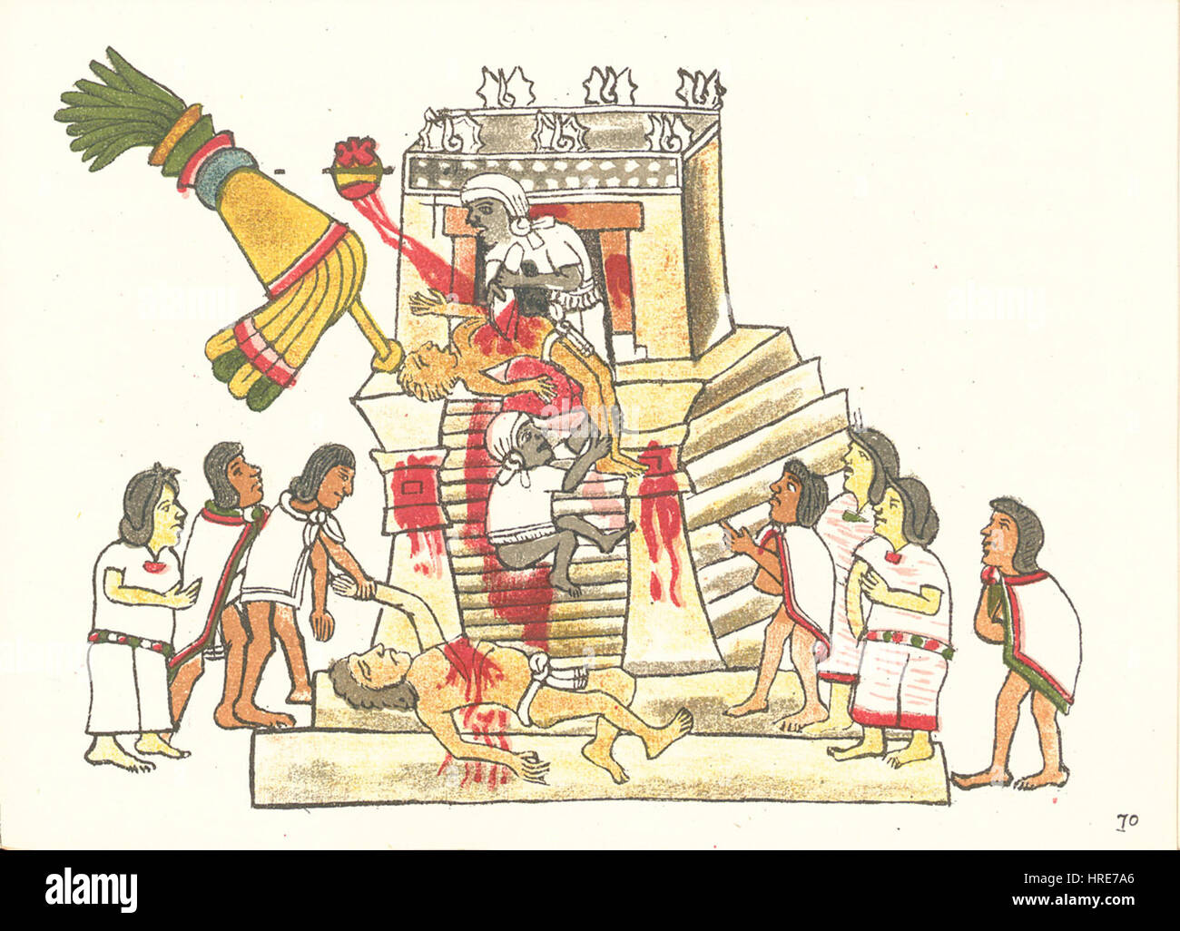 Codex Magliabechiano (folio 70r Stock Photo - Alamy