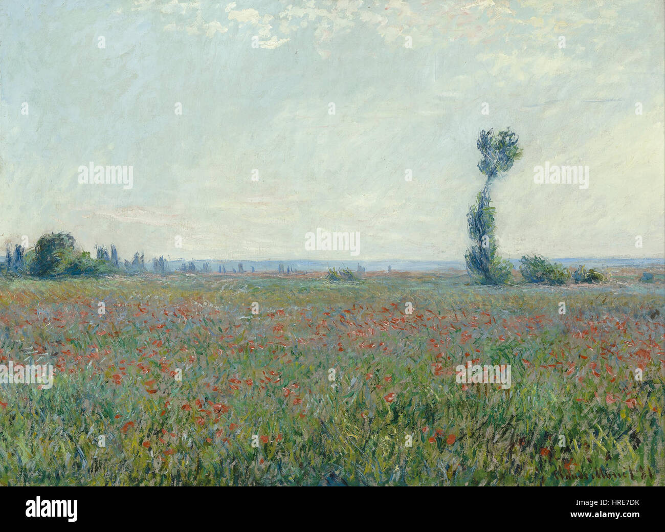 Claude monet poppy field hi-res stock photography and images - Alamy