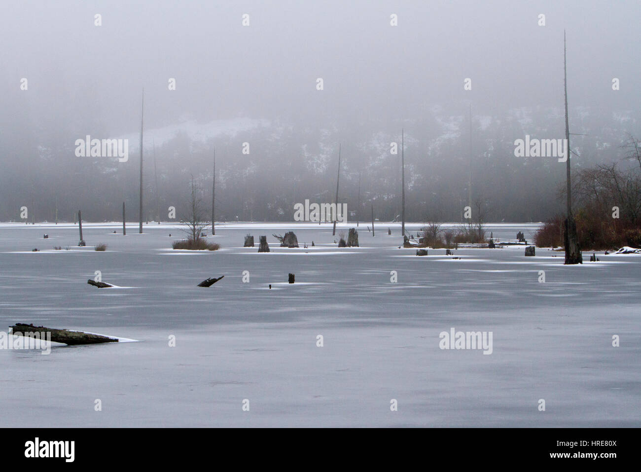 A winter landscape at Westwood Lake, Nanaimo, BC, Canada taken in ...