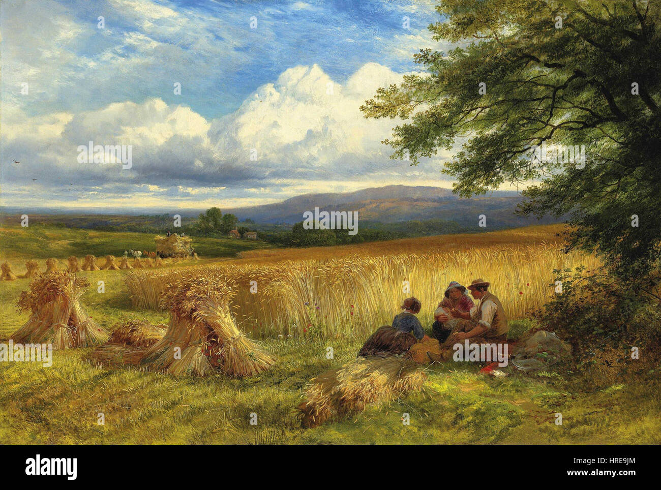 George Cole - Harvest Rest Stock Photo - Alamy